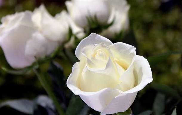 Donate to a funeral - John Nigel Berridge Bell | AB Walker