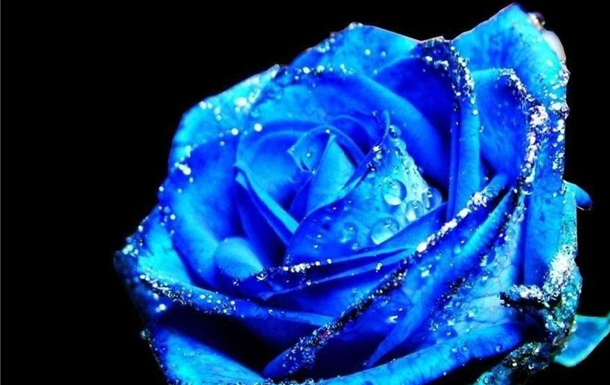 Donate to a funeral - John Thomas Howard | AB Walker